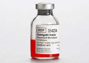 MATRIGEL MATRIX 基质胶 354234_报价/价格/性能参数/图, corning biocoat 354234_生物器材网