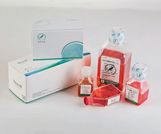 HUVEC+GFP人脐静脉内皮细胞永生化+GFP_报价/价格/性能参数/图, 语纯生物_生物器材网