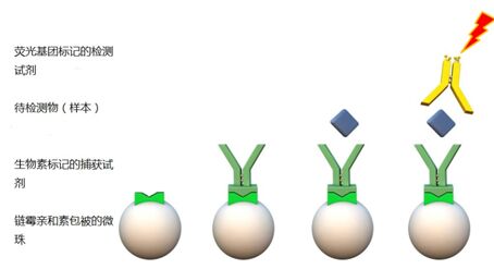 Gyrolab xPlore 全自动纳升级免疫分析工作站的原理和应用_生物器材网