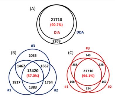 Proteome and Phosphoproteome Quantification by DIA on Orbitrap_生物器材网
