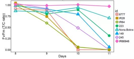 利用PhenoScope高通量抗性筛选系统快速筛选多抗性水稻品种_生物器材网