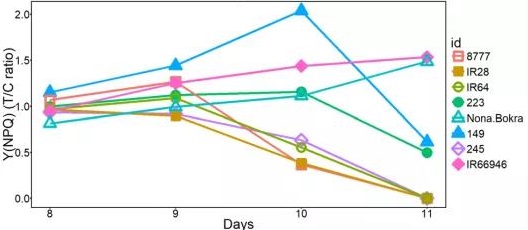 利用PhenoScope高通量抗性筛选系统快速筛选多抗性水稻品种_生物器材网
