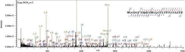 ZenoTOF 7600系统应用：生物制药抗体从头测序_生物器材网