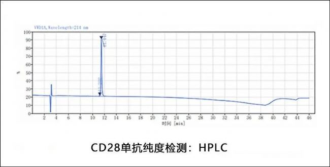人源化单克隆抗体CD28的共刺激作用与研究进展_生物器材网