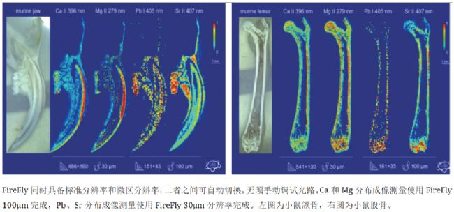 FireFly LIBS元素分布成像快速测量系统在医学和动物中的应用_生物器材网